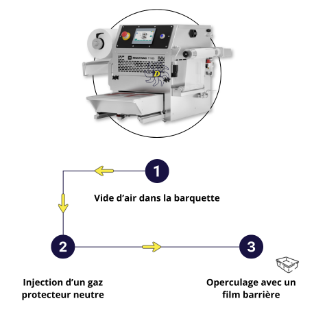 Operculeuse Multivac T105 | Operculeuse | Guy Deregnaucourt